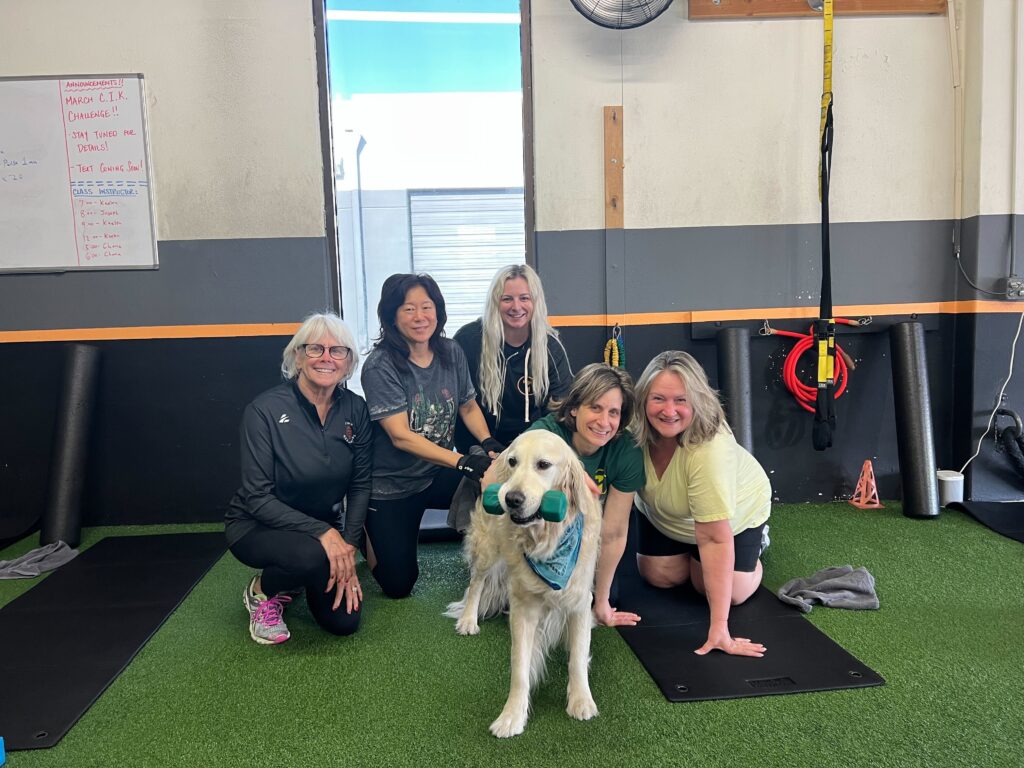 Stage 4: What Are You Truly Capable Of | Thrive Training In Irvine